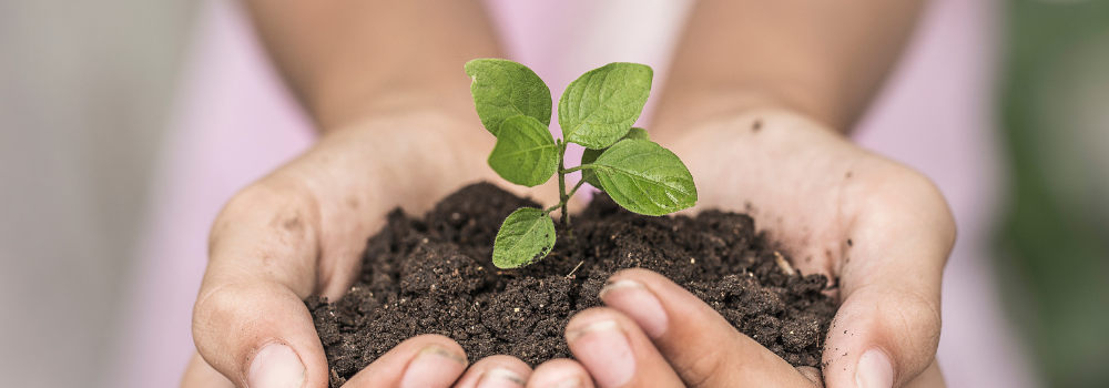 A ‘green’ development